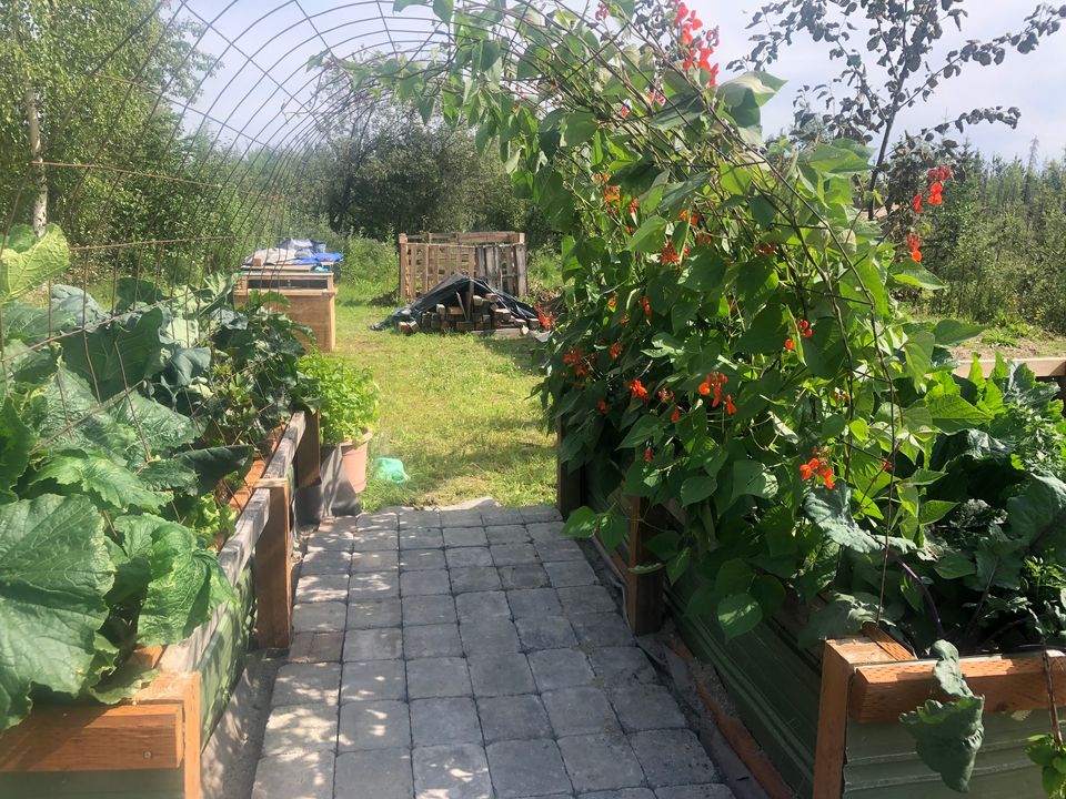 Goldstream Community Garden | Goldstream Valley Lions Club